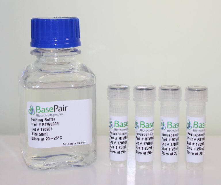 Buffer_Family_IMG_0128 - Base Pair Biotechnologies